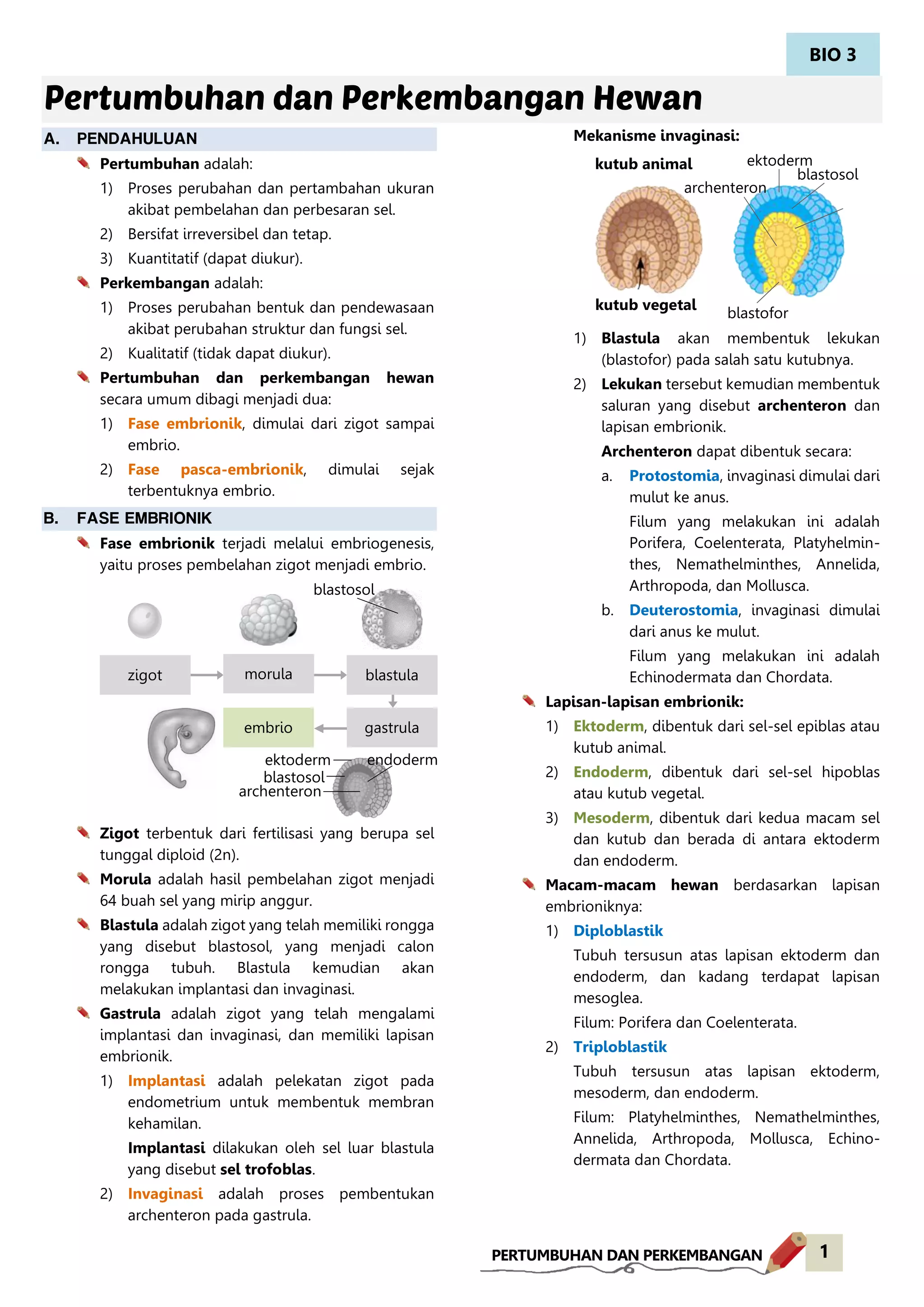 Pertumbuhan dan Perkembangan Hewan | PDF