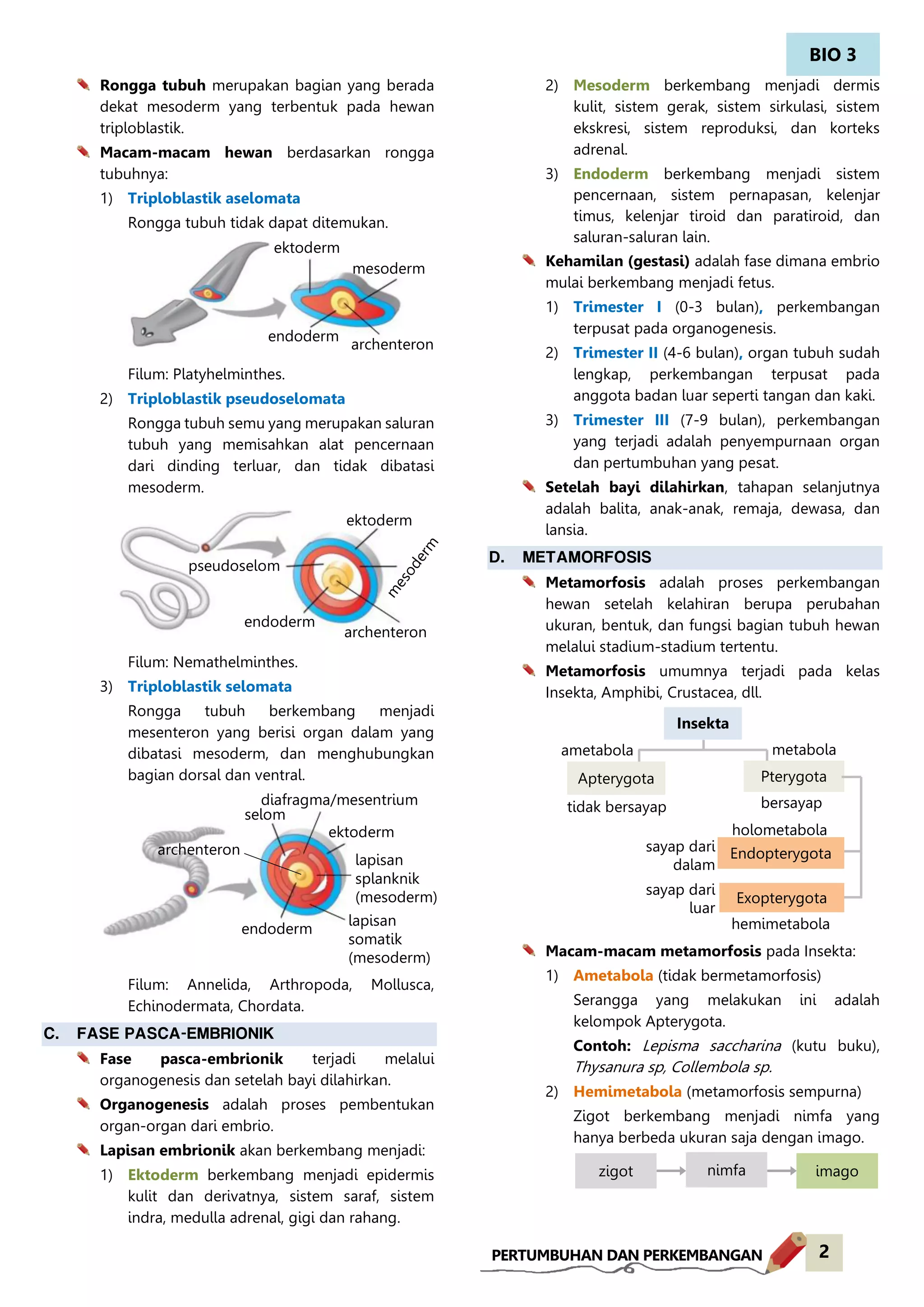 Pertumbuhan dan Perkembangan Hewan | PDF