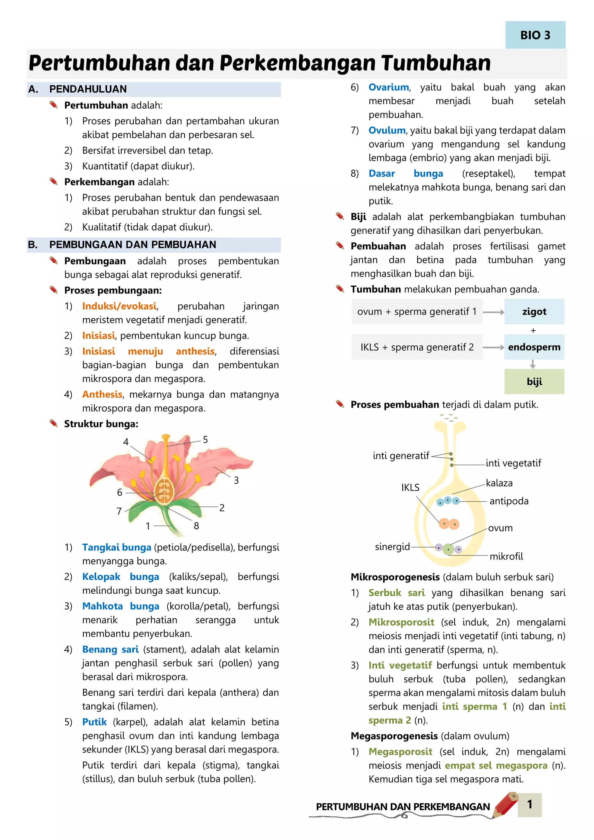 Pertumbuhan dan Perkembangan tumbuhan | PDF