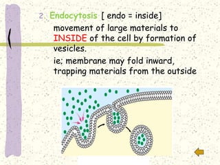 The phagocytosis and pinocytosis | PPTX