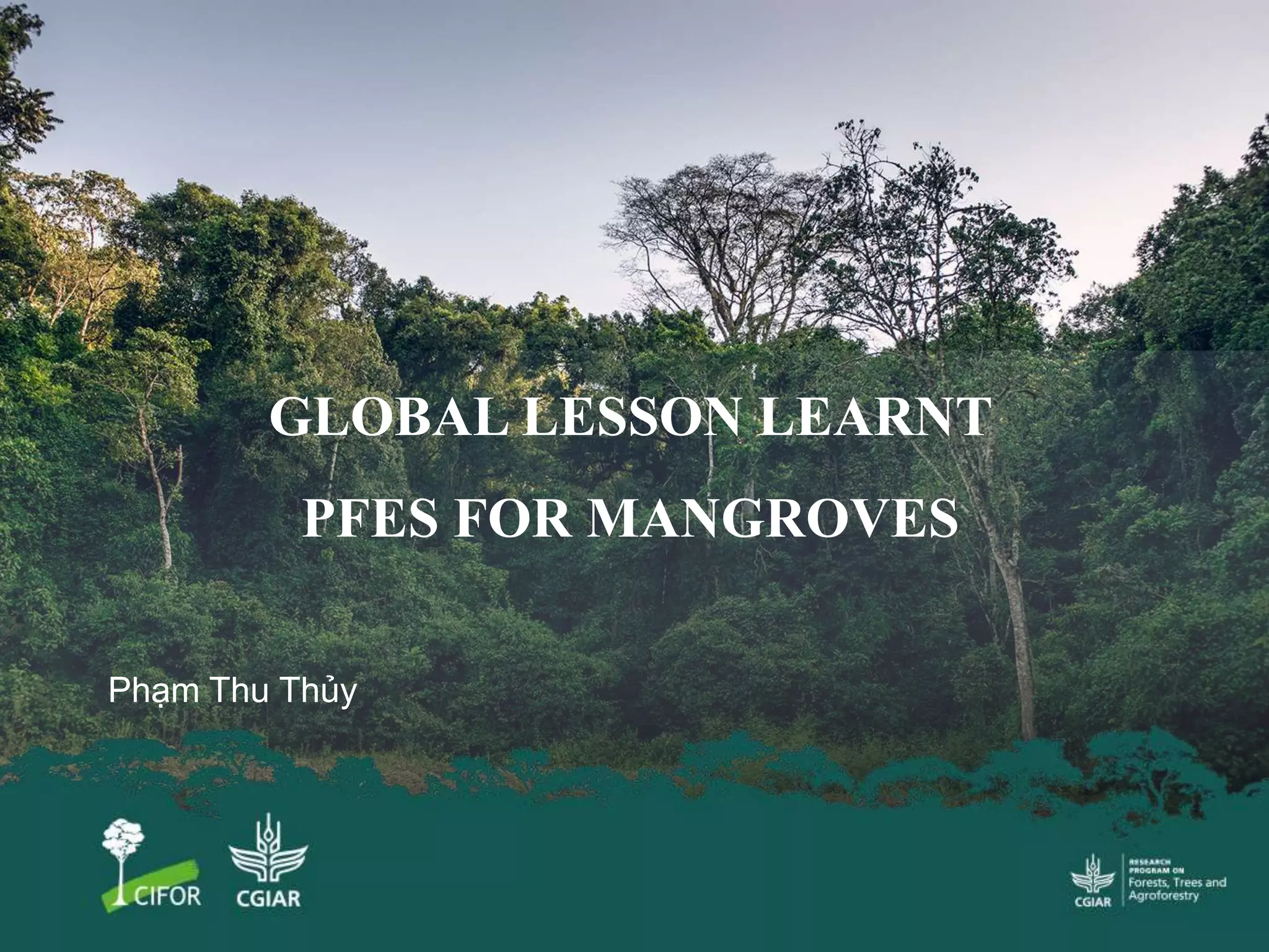 Global Lesson Learnt PFES for Mangroves | PPT