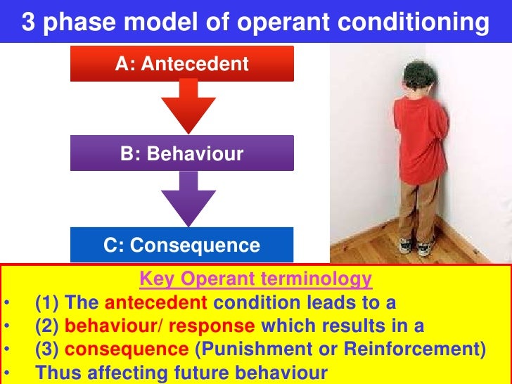 3 phase model of operant conditioning - VCE U4 Psych