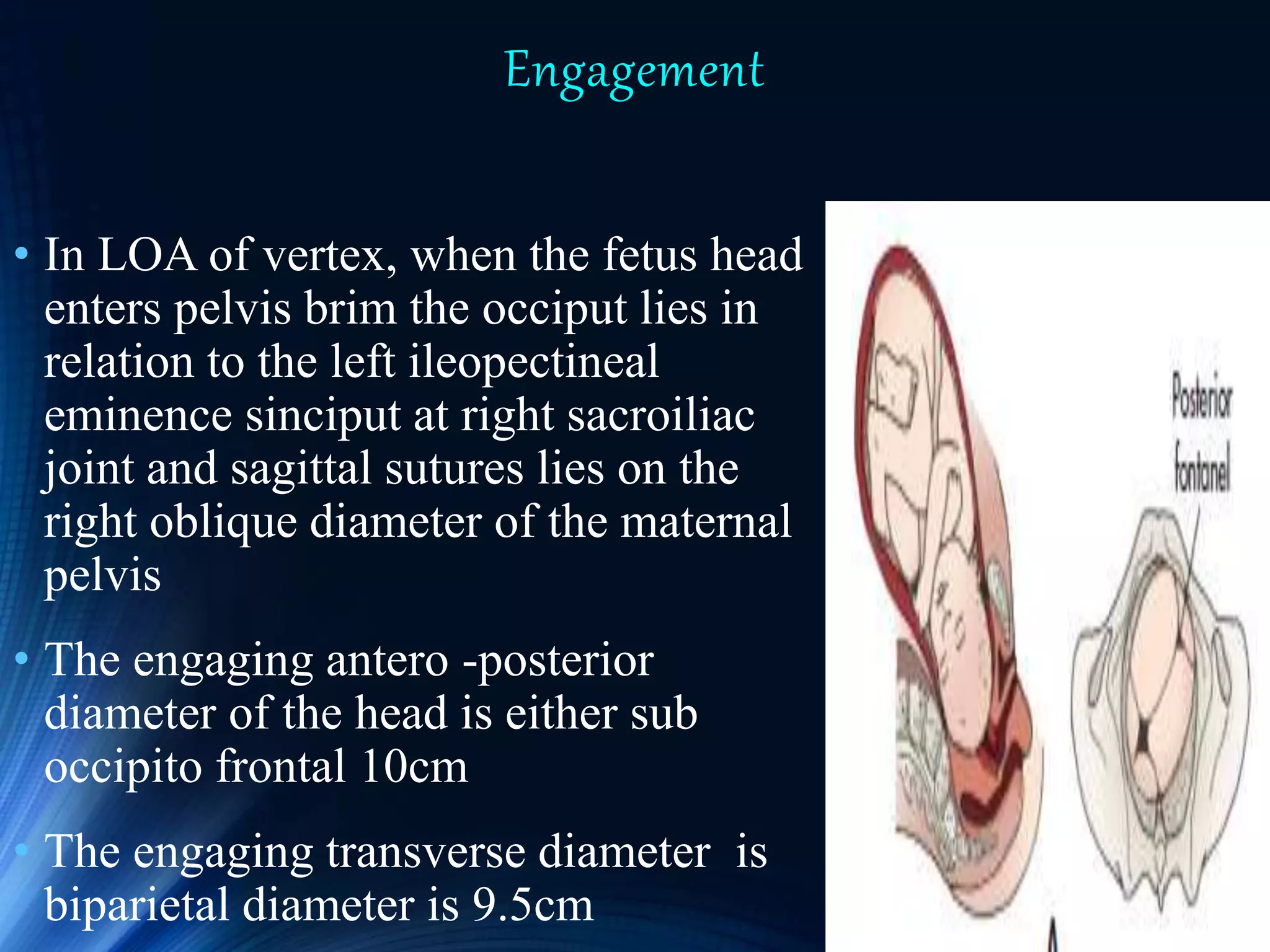 Physiology and Mangement of 2nd stage labour | PPTX