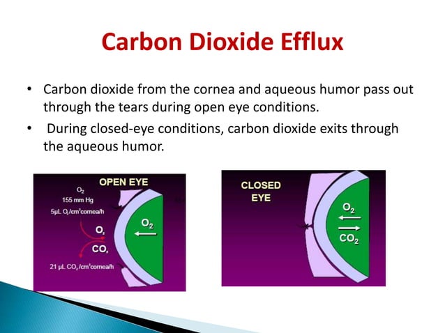 3 physiology (Ant.segment) .ppt