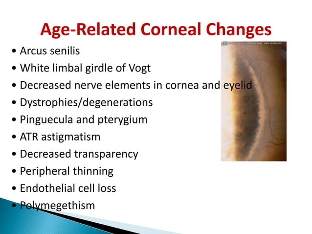 3 physiology (Ant.segment) .ppt