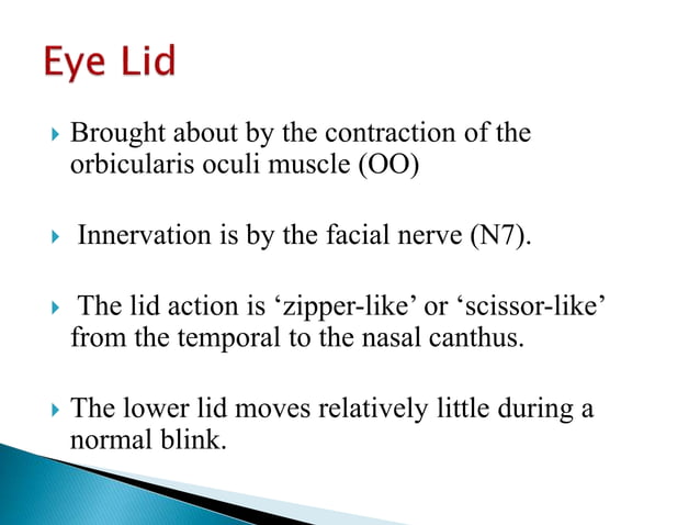 3 physiology (Ant.segment) .ppt