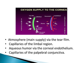 3 physiology (Ant.segment) .ppt