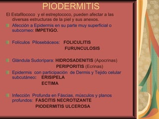 3 piodermitis | PPT