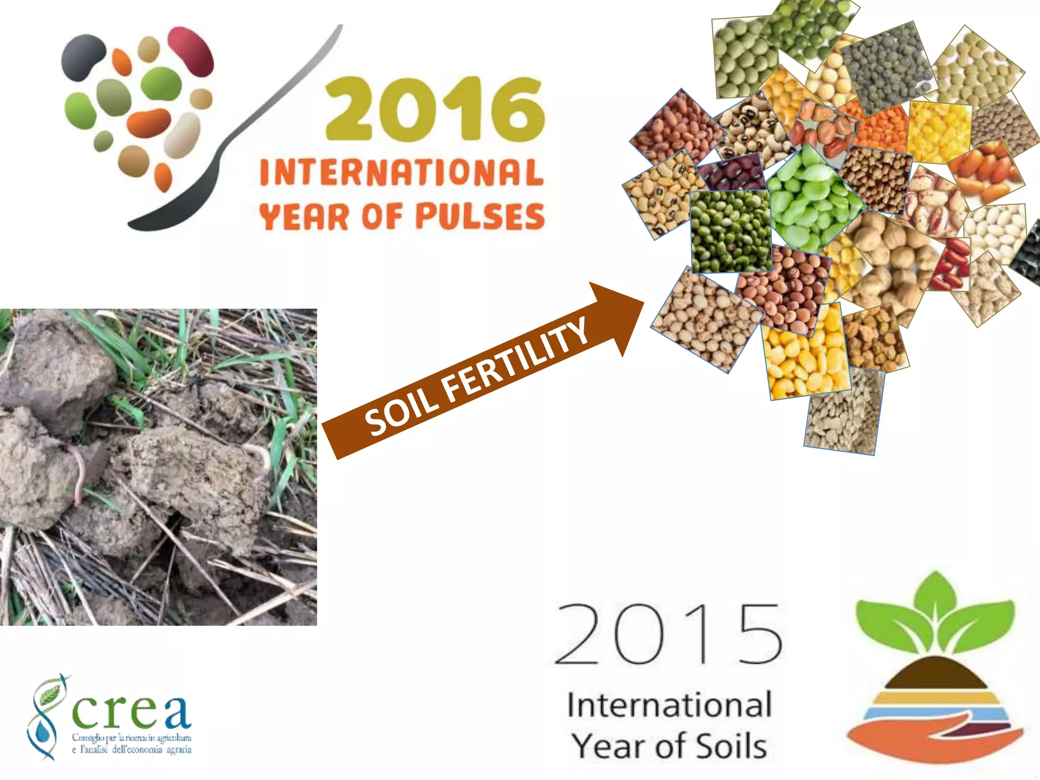 PULSE CROPS FOR SUSTAINABLE PRODUCTION INTENSIFICATION | PPTX