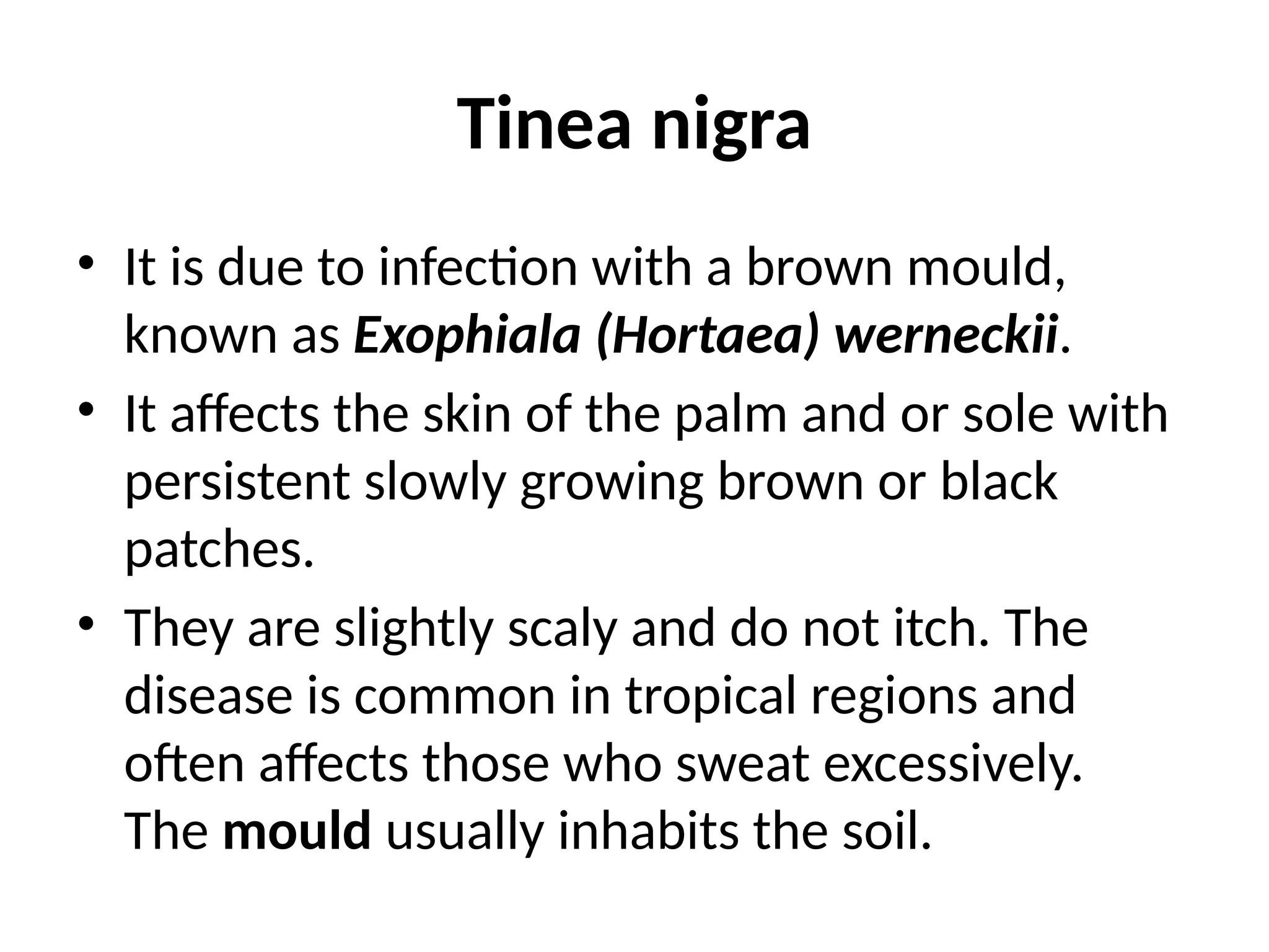 3 Pityriasis, nigra, piedra.pptx mycology | PPTX
