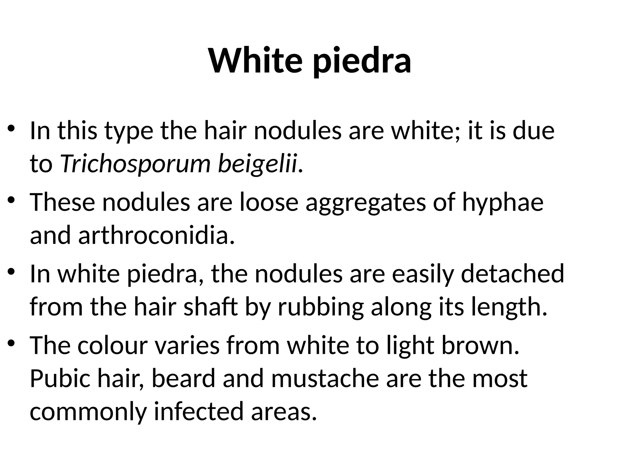 3 Pityriasis, nigra, piedra.pptx mycology | PPTX