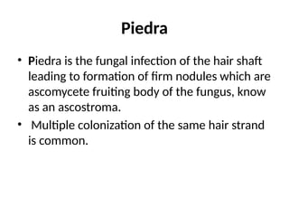 3 Pityriasis, nigra, piedra.pptx mycology | PPT