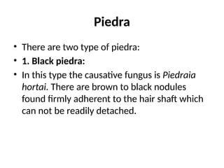 3 Pityriasis, nigra, piedra.pptx mycology | PPT