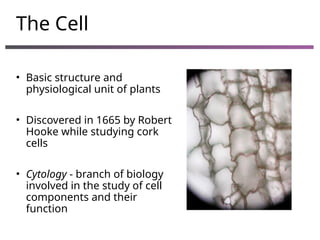 3 Plant Anatomy 1.pptx hort 2050 class 2026 | PPTX