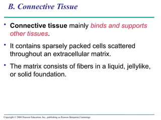 3 Plant and Animal Tissues presentation .pptx | Biological Sciences ...