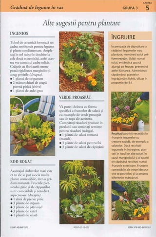 3 plante balcon si terasa | PDF