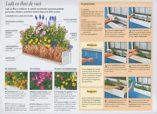 3 plante balcon si terasa | PDF