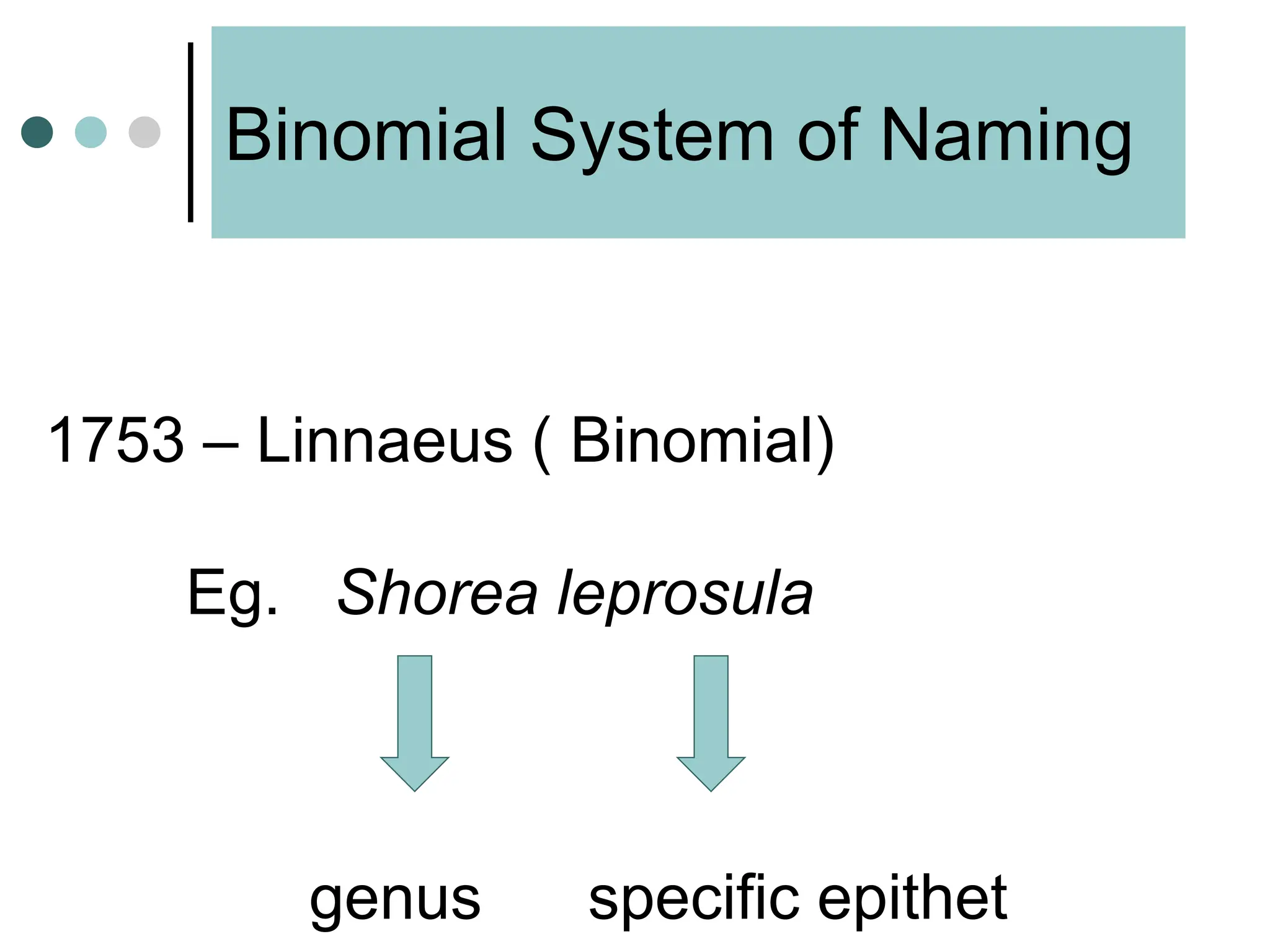 Plant Taxonomy in Tropical Plants Malaysia.ppt