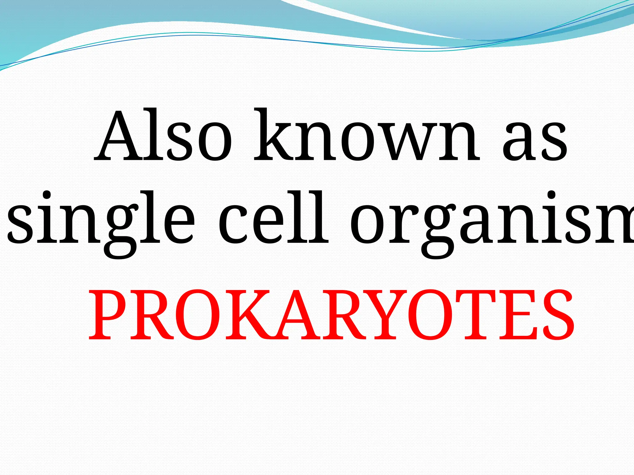 Prokaryotic vs Eukaryotic Cells and Cell Types | PPTX | Biological ...