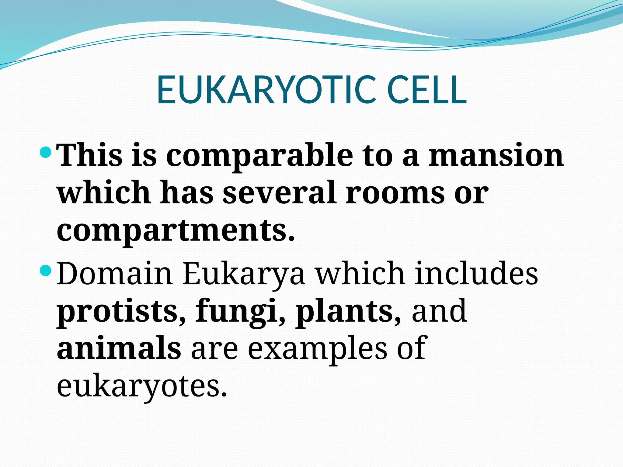 Prokaryotic vs Eukaryotic Cells and Cell Types | PPTX