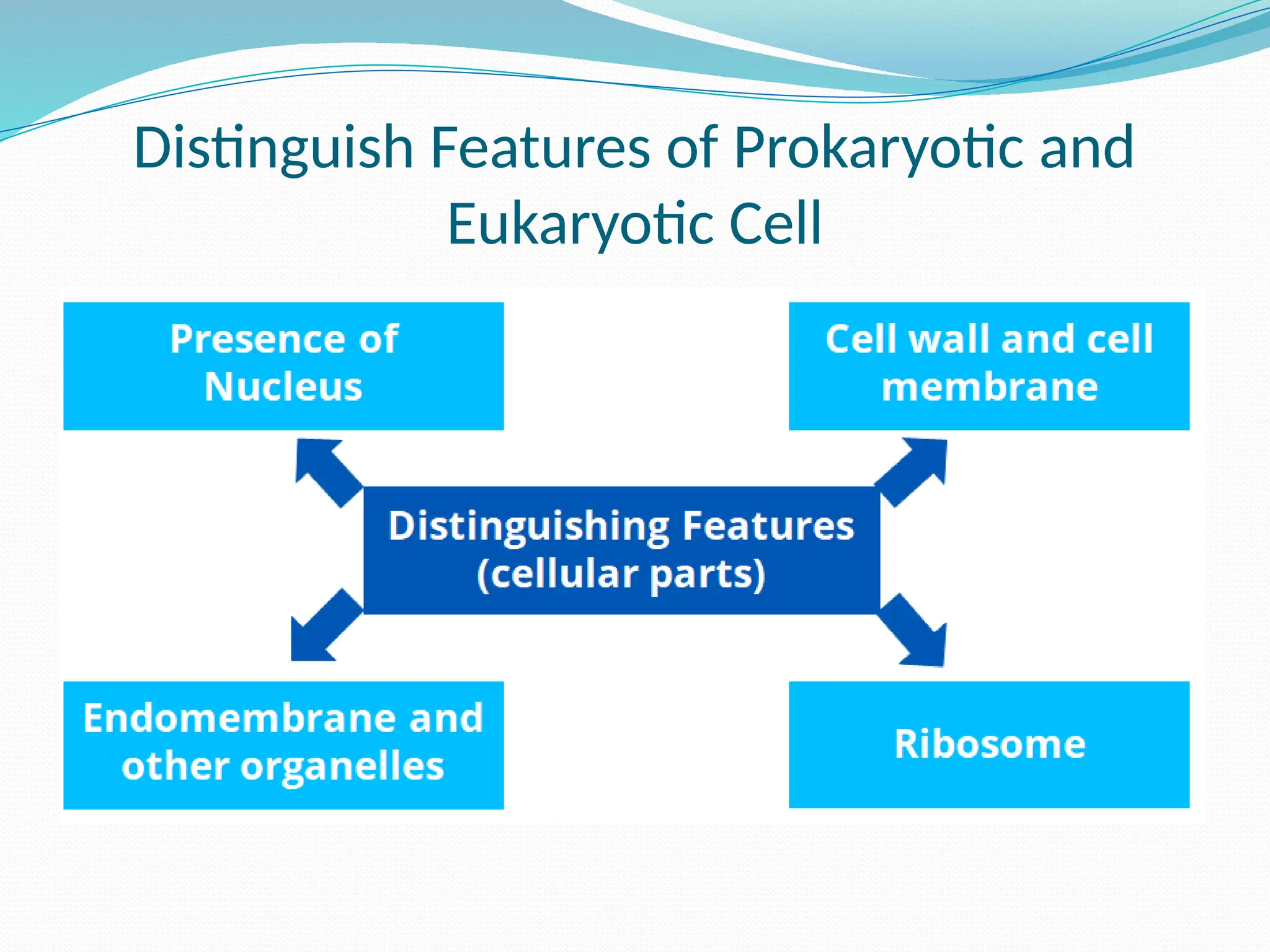 Prokaryotic vs Eukaryotic Cells and Cell Types | PPTX | Biological ...
