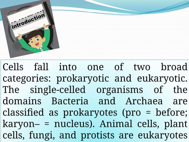 Prokaryotic vs Eukaryotic Cells and Cell Types | PPTX | Biological ...