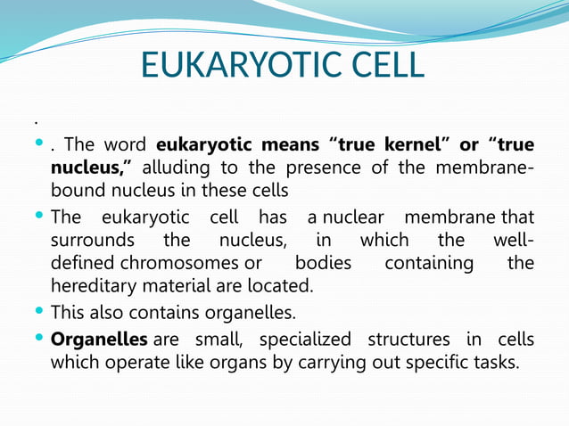 Prokaryotic vs Eukaryotic Cells and Cell Types | PPTX | Biological ...