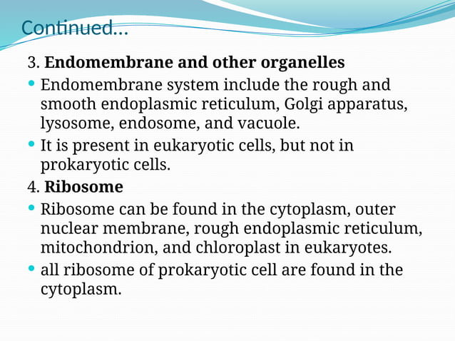 Prokaryotic vs Eukaryotic Cells and Cell Types | PPTX | Biological ...