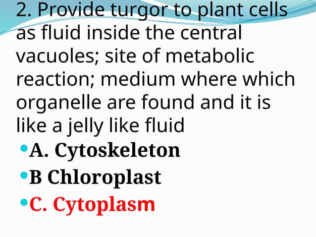 Prokaryotic vs Eukaryotic Cells and Cell Types | PPTX | Biological ...