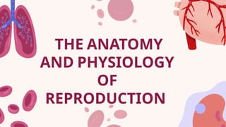 The anatomy and physiology of reproduction system | PPTX