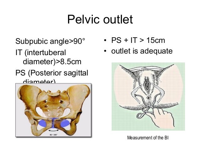 3 pregnancy monitoring