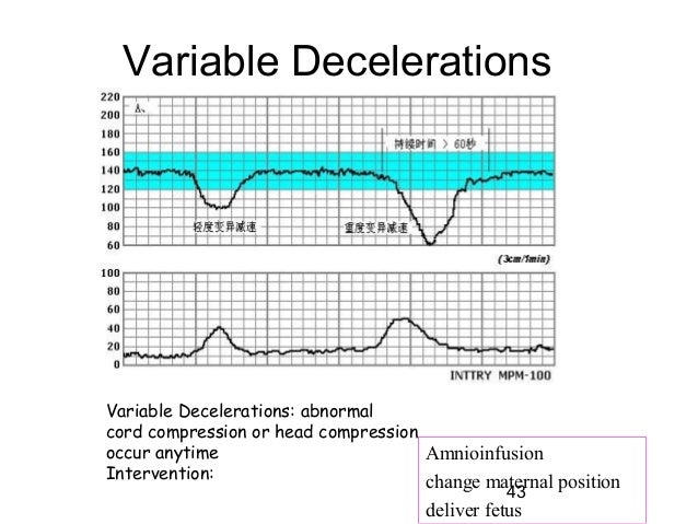 3 pregnancy monitoring