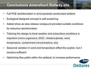 Constructed wetlands for costeffective and energy-efficient remediation ...