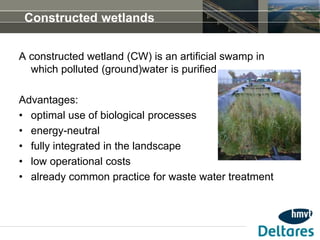Constructed wetlands for costeffective and energy-efficient remediation ...