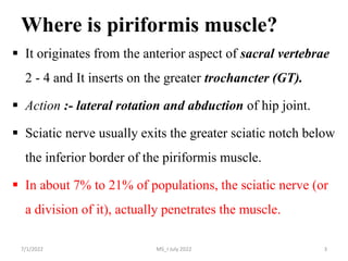 3 priformis syndrome physical therapy .pdf