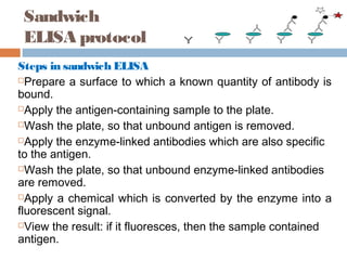 Principles and Applications of ELISA | PPT