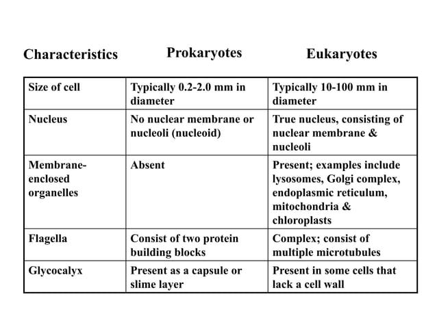 Prokaryotic vs eukaryotic | PPT