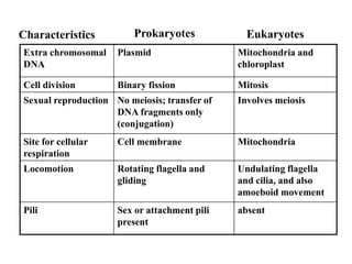 Prokaryotic vs eukaryotic | PPT