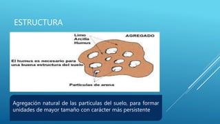 Propiedades físicas del suelo | PPTX