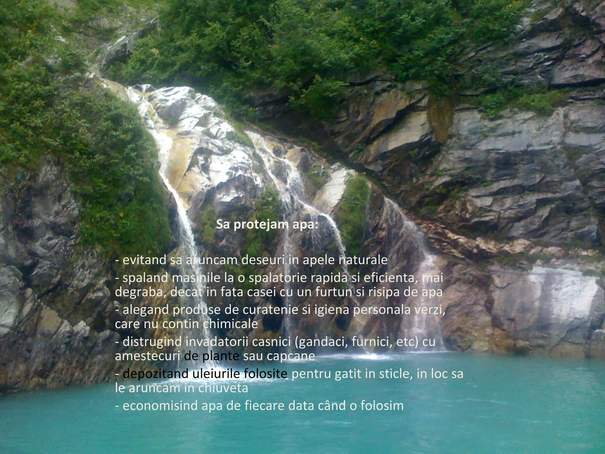 protectia mediului | PPT