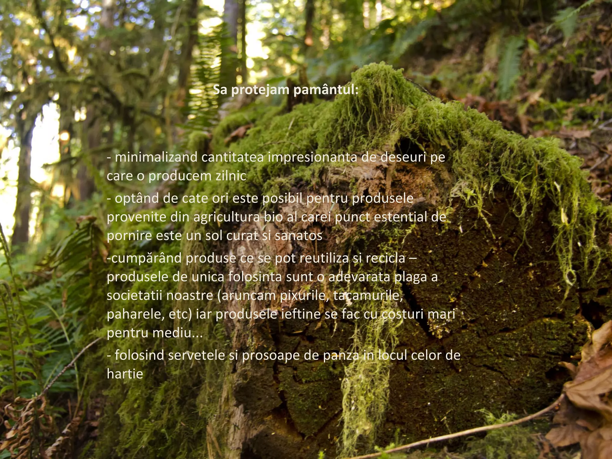 protectia mediului | PPT