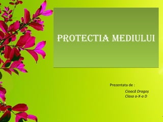 protectia mediului | PPT