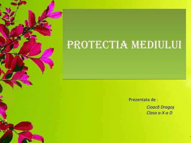 protectia mediului | PPT