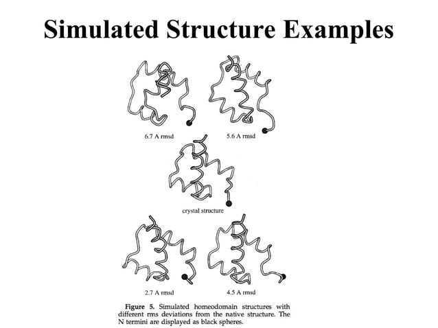 Template Free Protein Structure Modeling | PPT