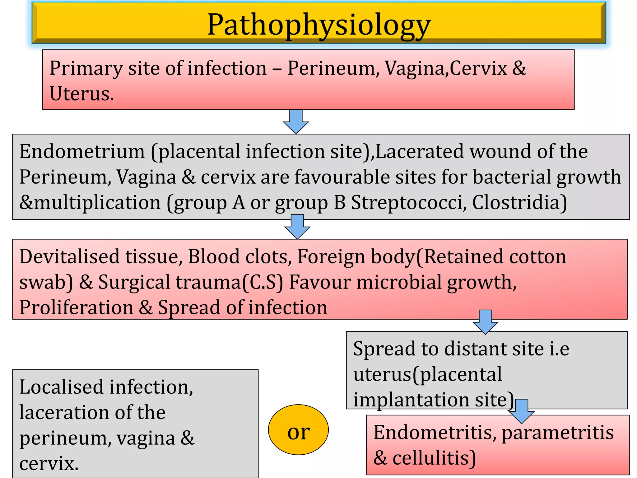 Puerperal Infection | PPTX