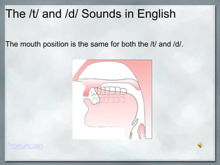 The t and_the_d_sounds_in_english | PPT | Dental Health | Diseases and ...
