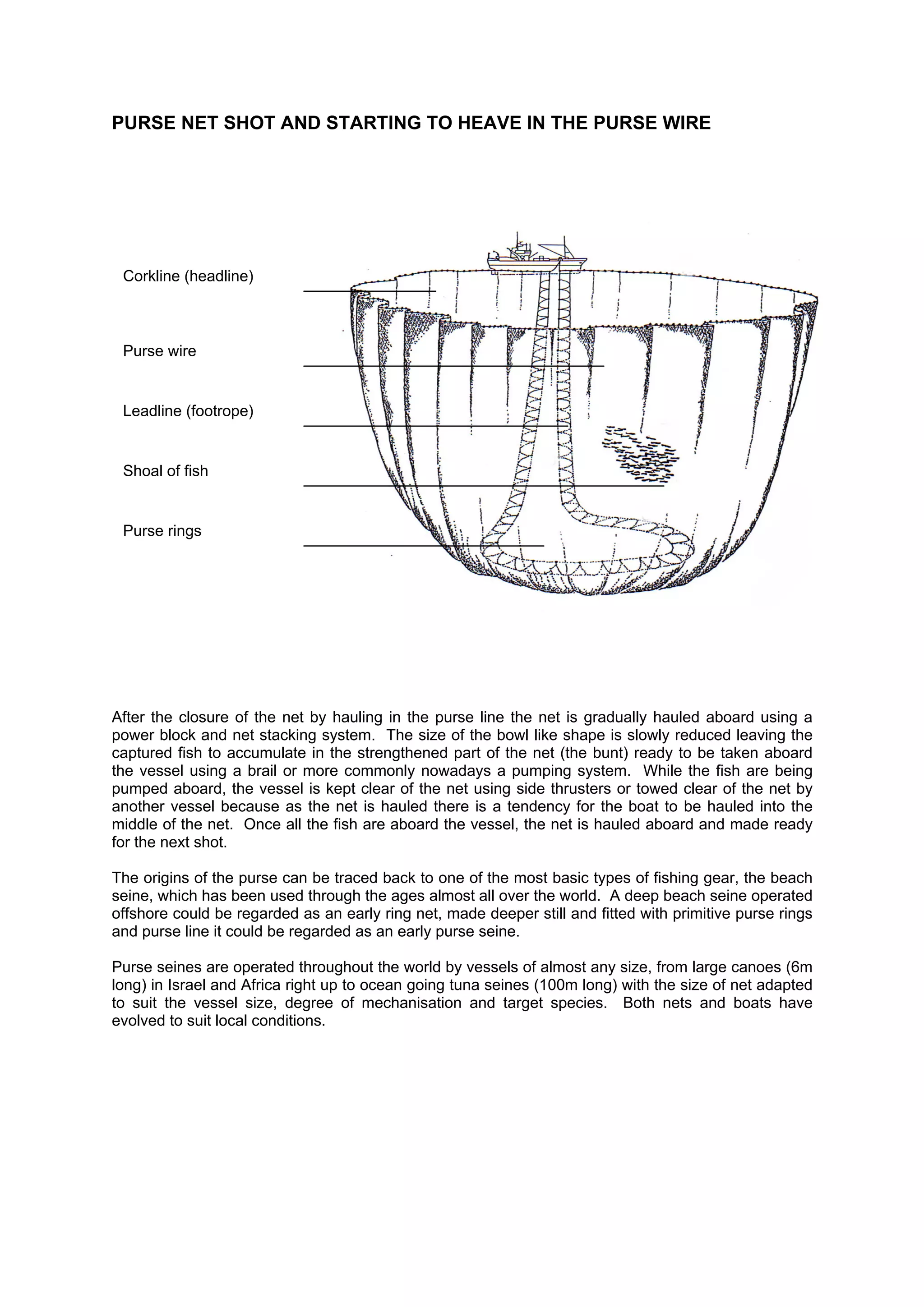 3 purse seine 8 | PDF
