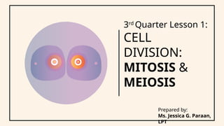 3Q Gen BioLesson 1- Mitosis and Meiosis.pptx