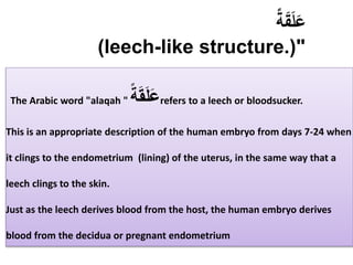 3 quran and biology | PPTX