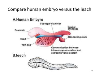 3 quran and biology | PPTX